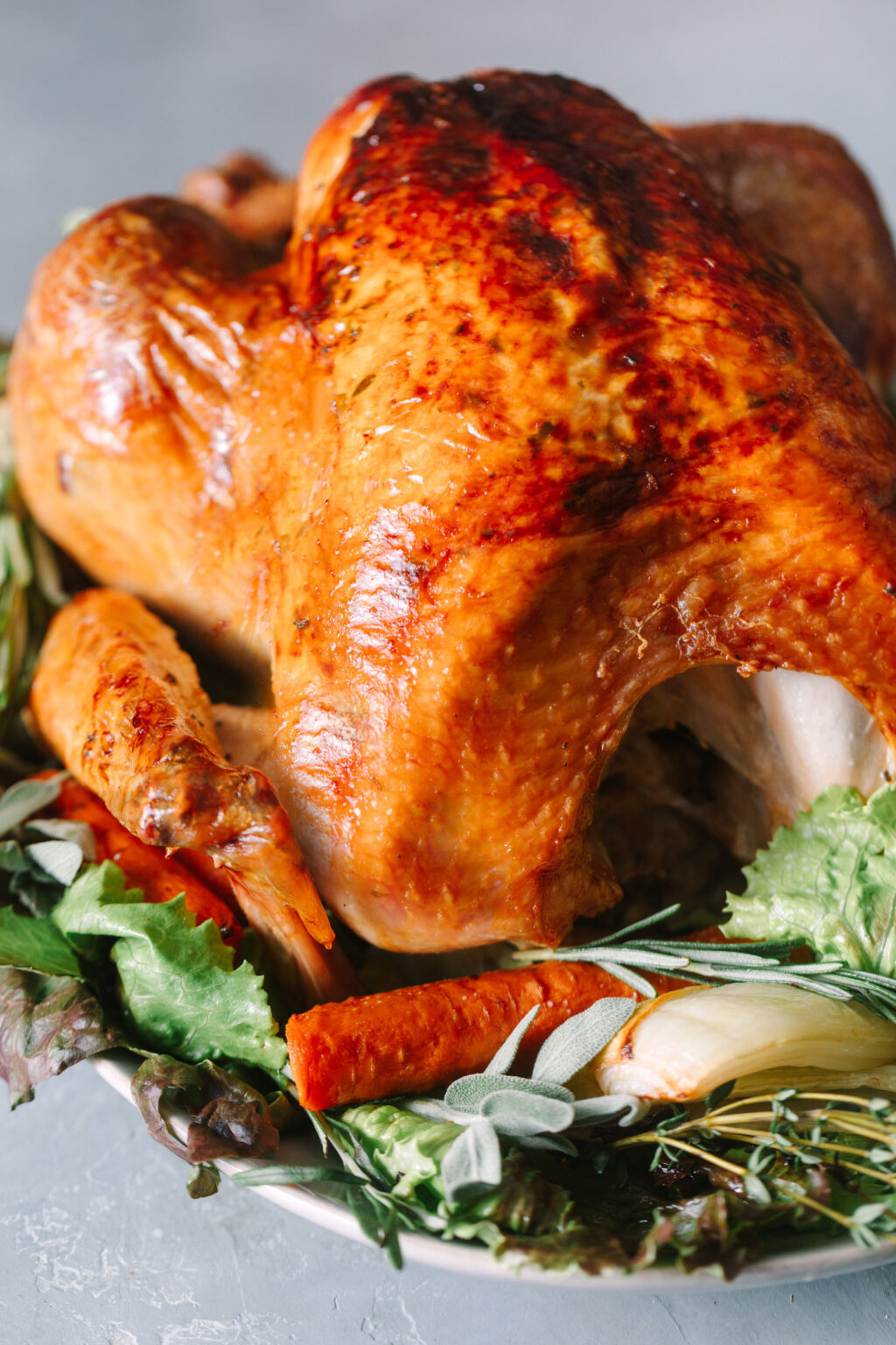 Roasted Thanksgiving Turkey - Cooks with Soul